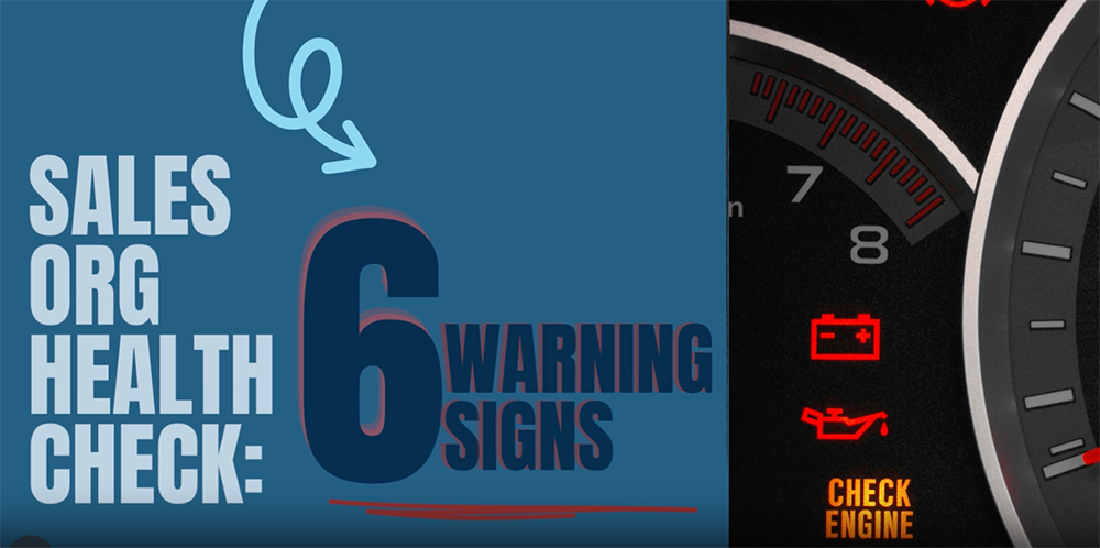 Sales Org Health Check: 6 Warning Signs | SEG
